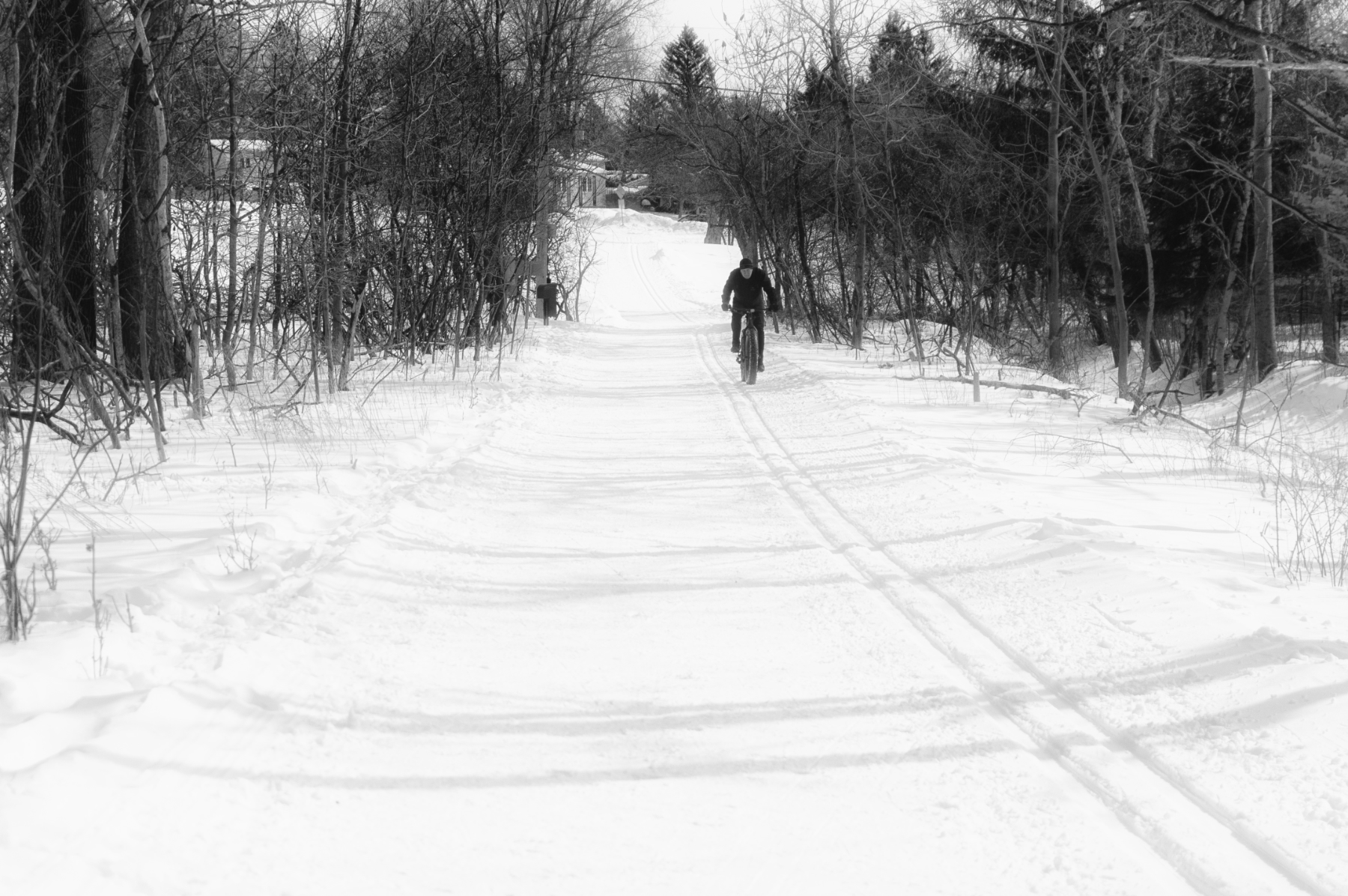 Out of line – Philippe Munn